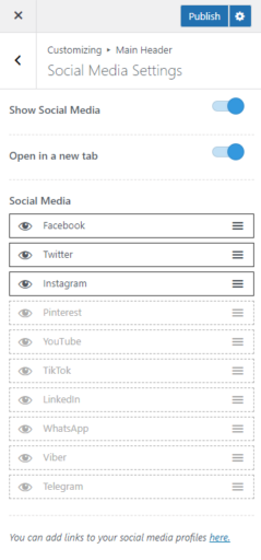 Social Media Settings - Coachify Theme