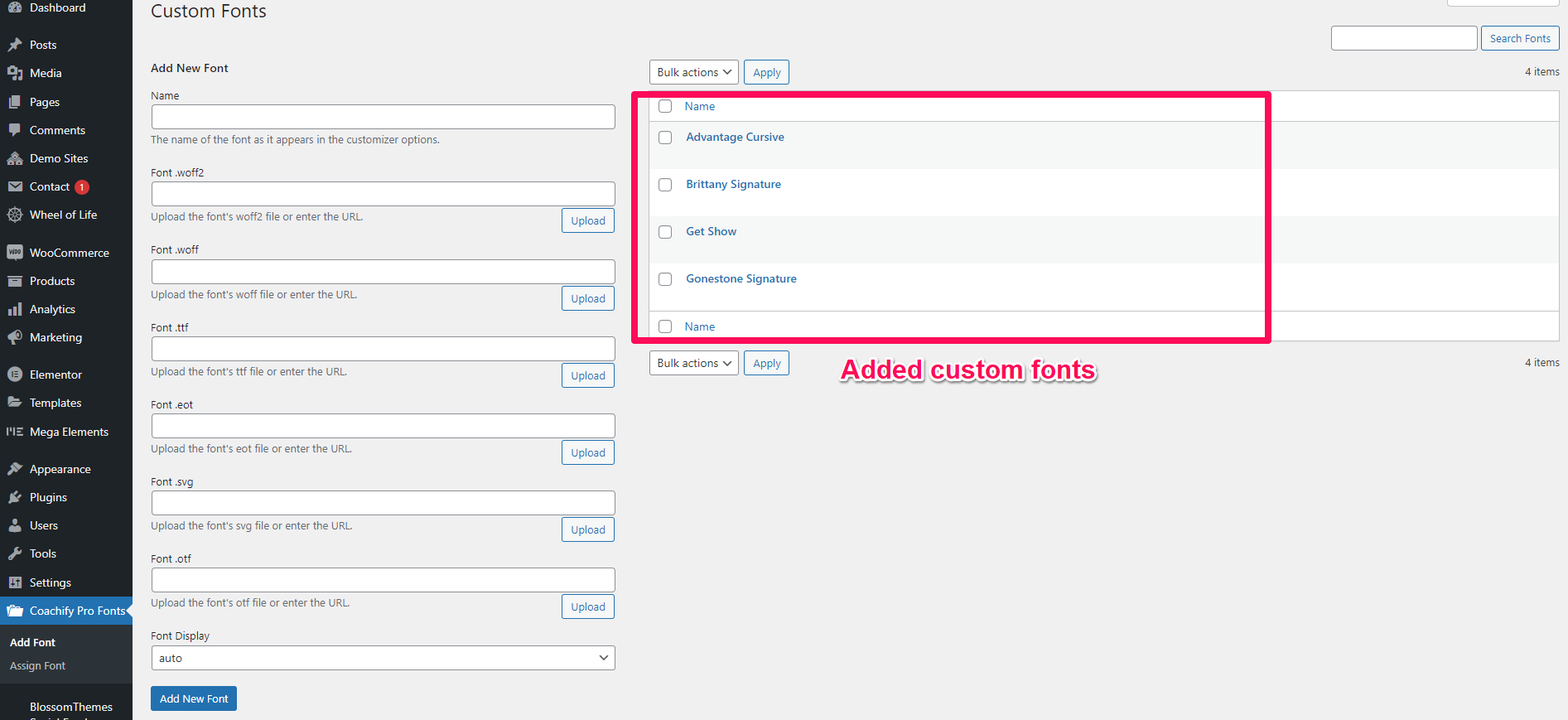 Custom Fonts - Coachify Theme