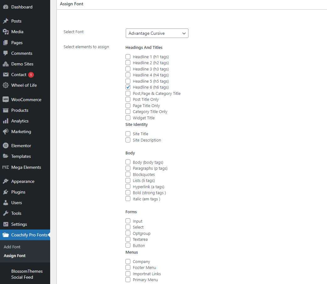 Custom Fonts - Coachify Theme