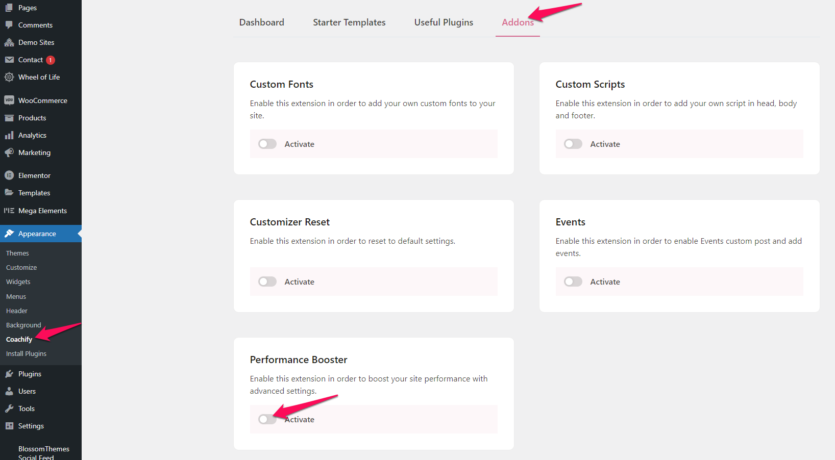 Performance Booster - Coachify Theme