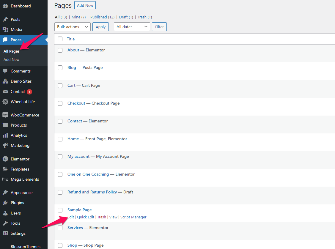 Layouts Settings - Coachify Theme